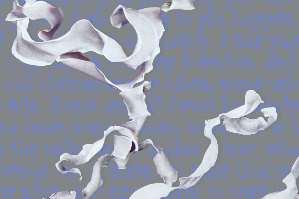 Baltic Circle – International Theatre Festival